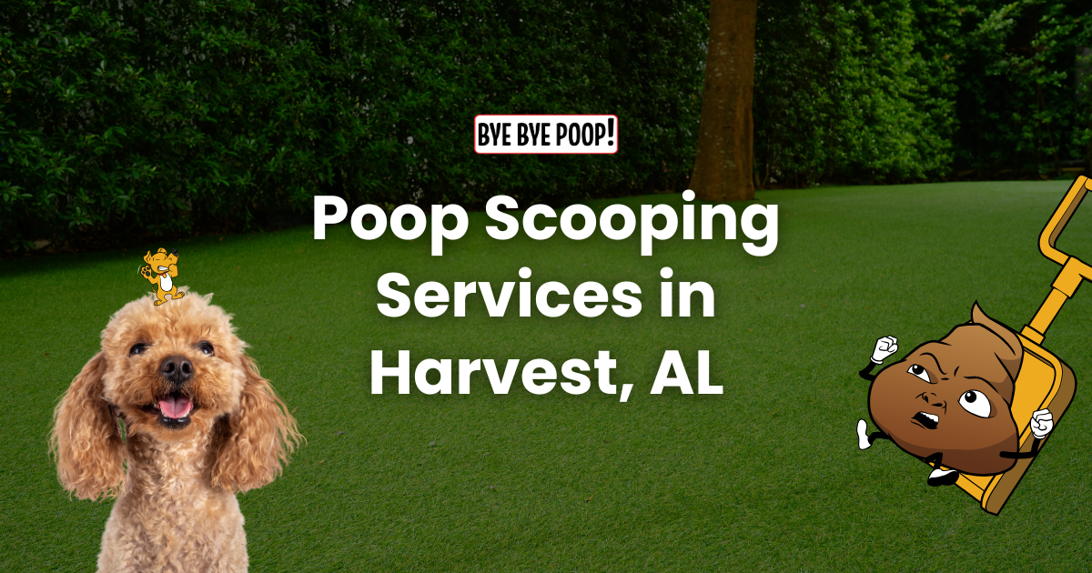 Harvest Poop Scooping, Pet Waste Removal Service | Bye Bye Poop