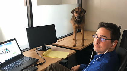 Careers | Invisors - Workday Service Partners