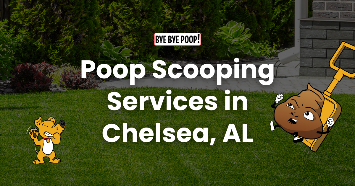 Chelsea Poop Scooping, Pet Waste Removal Service | Bye Bye Poop