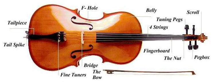 Basic info about a Cello
