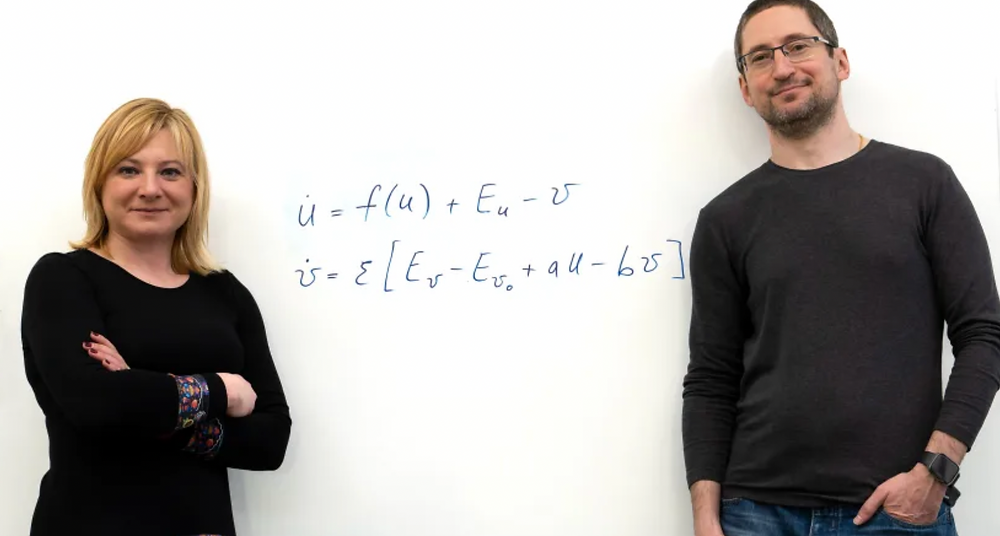Sex Ducks And Rock “n” Roll Mathematical Model Of Sexual Response Analysis Of The Male Orgasm