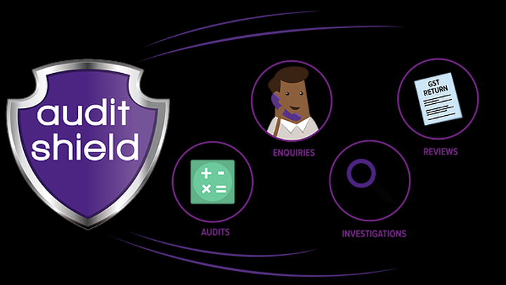 Audit Shield – Do You Need Cover?