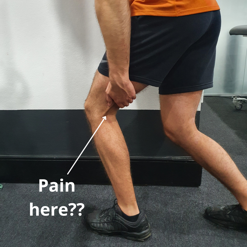 Distal Hamstring Tendinopathy Infinite Health Physio Distal Hamstring Tendinopathy Infinite Health Physio