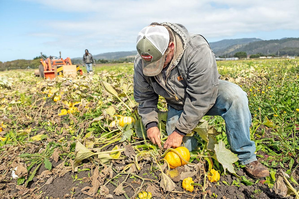Program to provide farmworkers health care