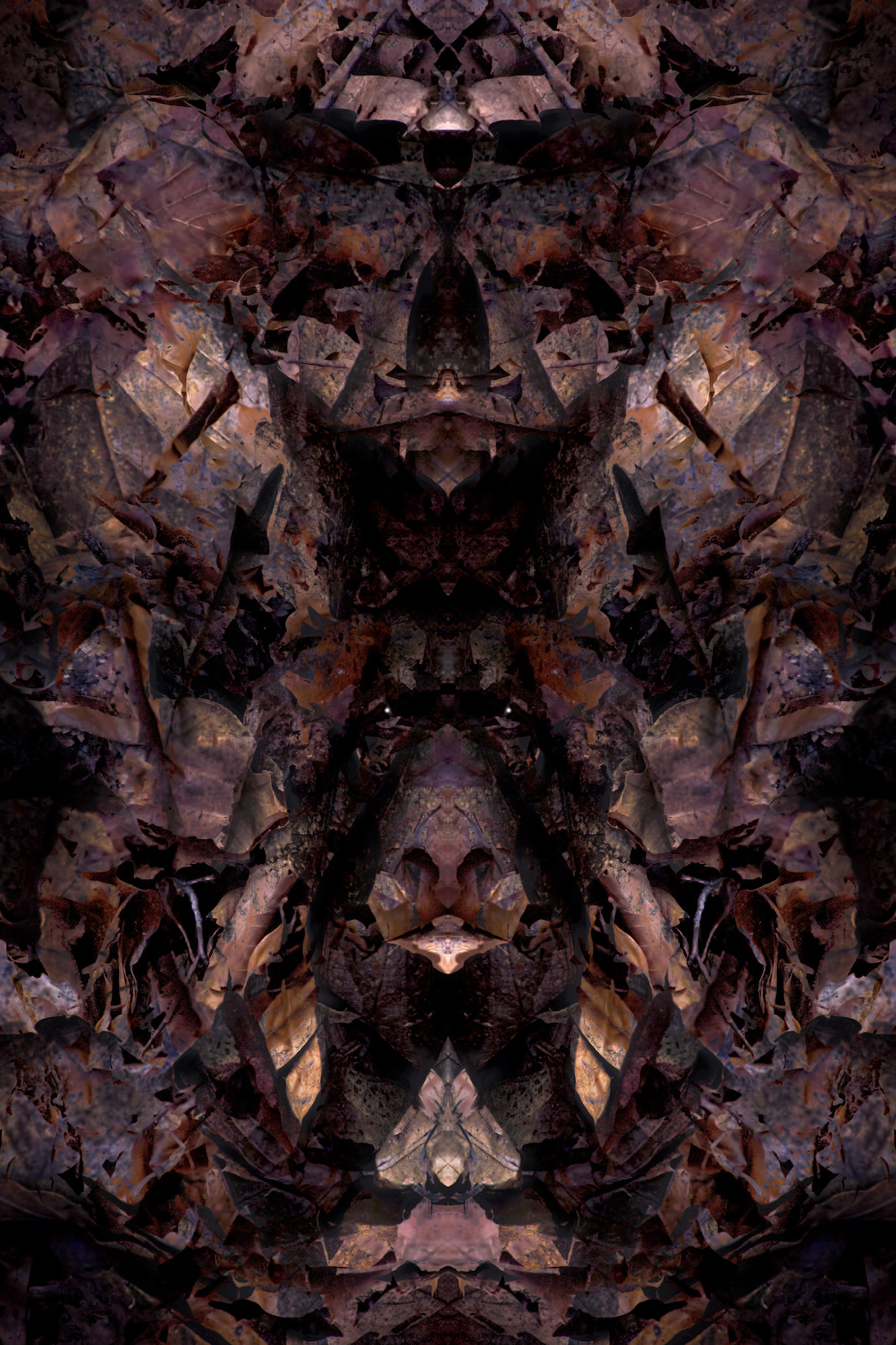 M.A.D.S. ART GALLERY | artwork. | Atomic Dog