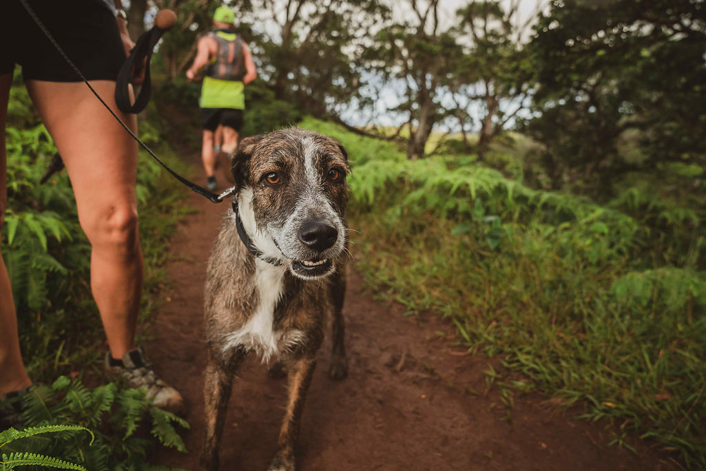 MM UNLEASHED | Miserable Miles