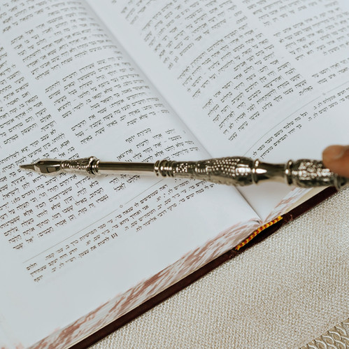 Yad (Torah pointer) for reading the Torah | Or Judaica