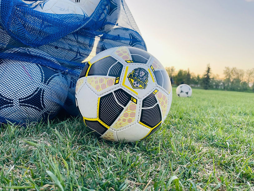 Home | Lions Soccer Club and Academy | Lions Soccer Club Calgary