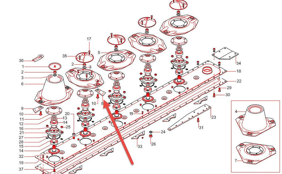 Gribaldi Salvia DM | brooksagparts 2/2