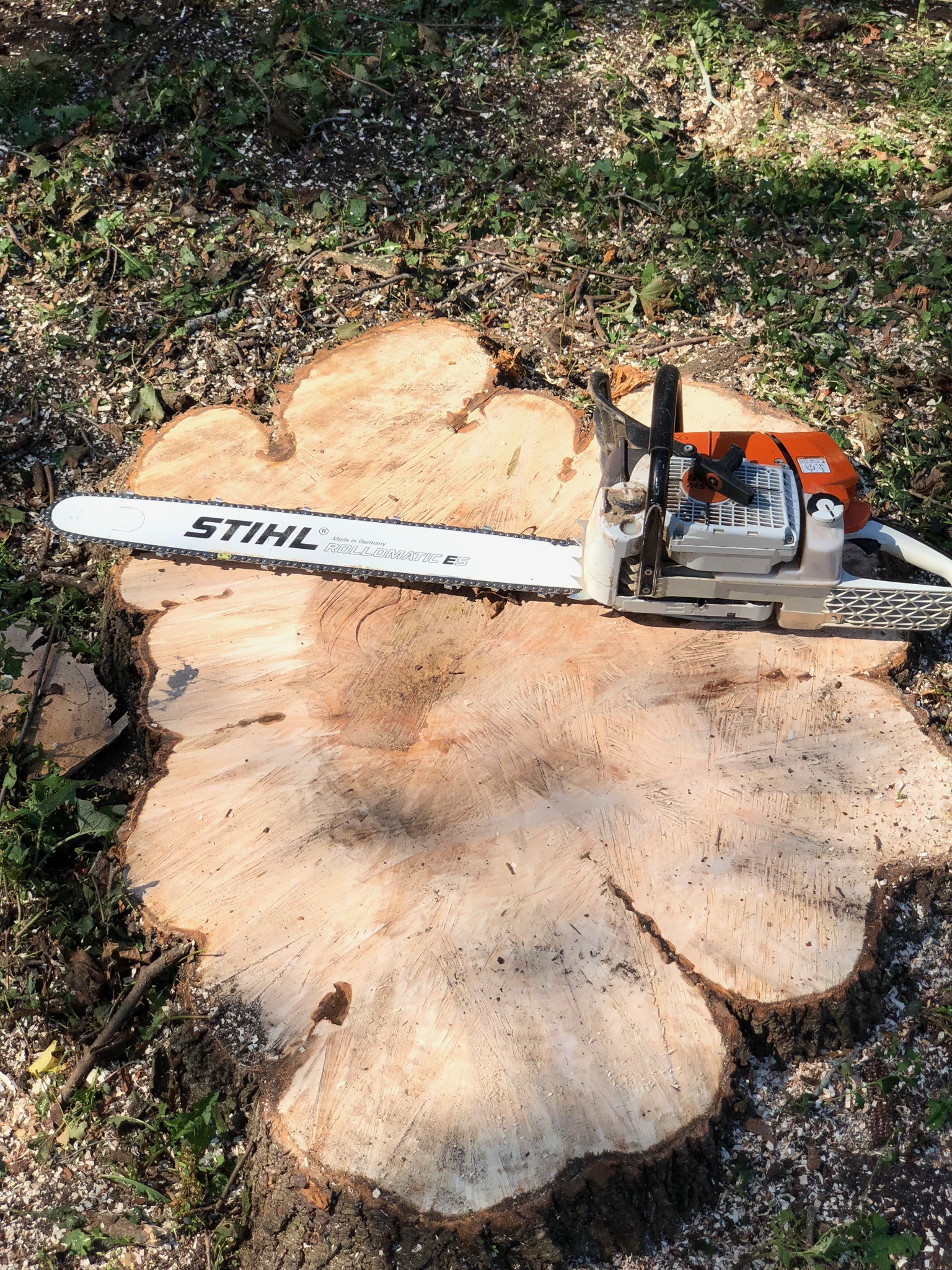 Full Service Tree Experts | Henry Tree Co. | United States