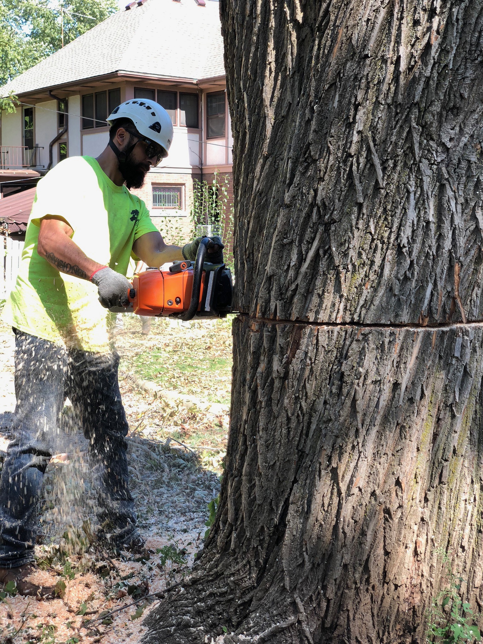 Full Service Tree Experts | Henry Tree Co. | United States