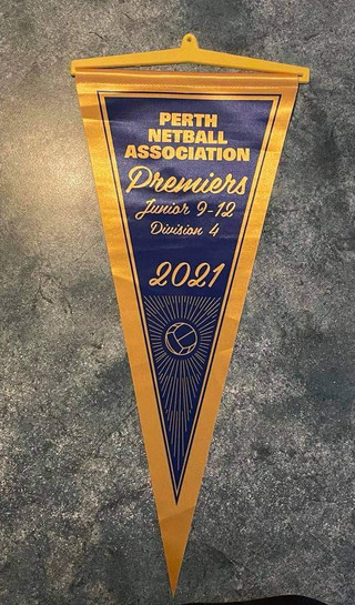 Netball Club In Perth | Newman Sienna Netball Club