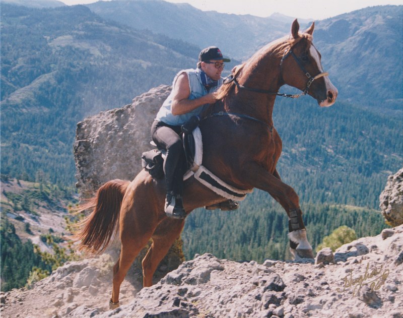 Endurance & Trail Riding | summitranchequine