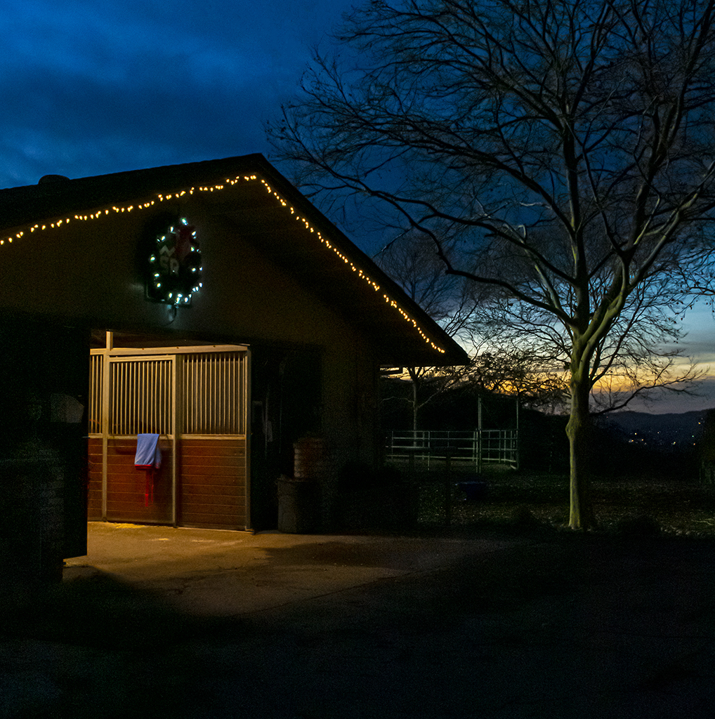 Photo Gallery | summitranchequine