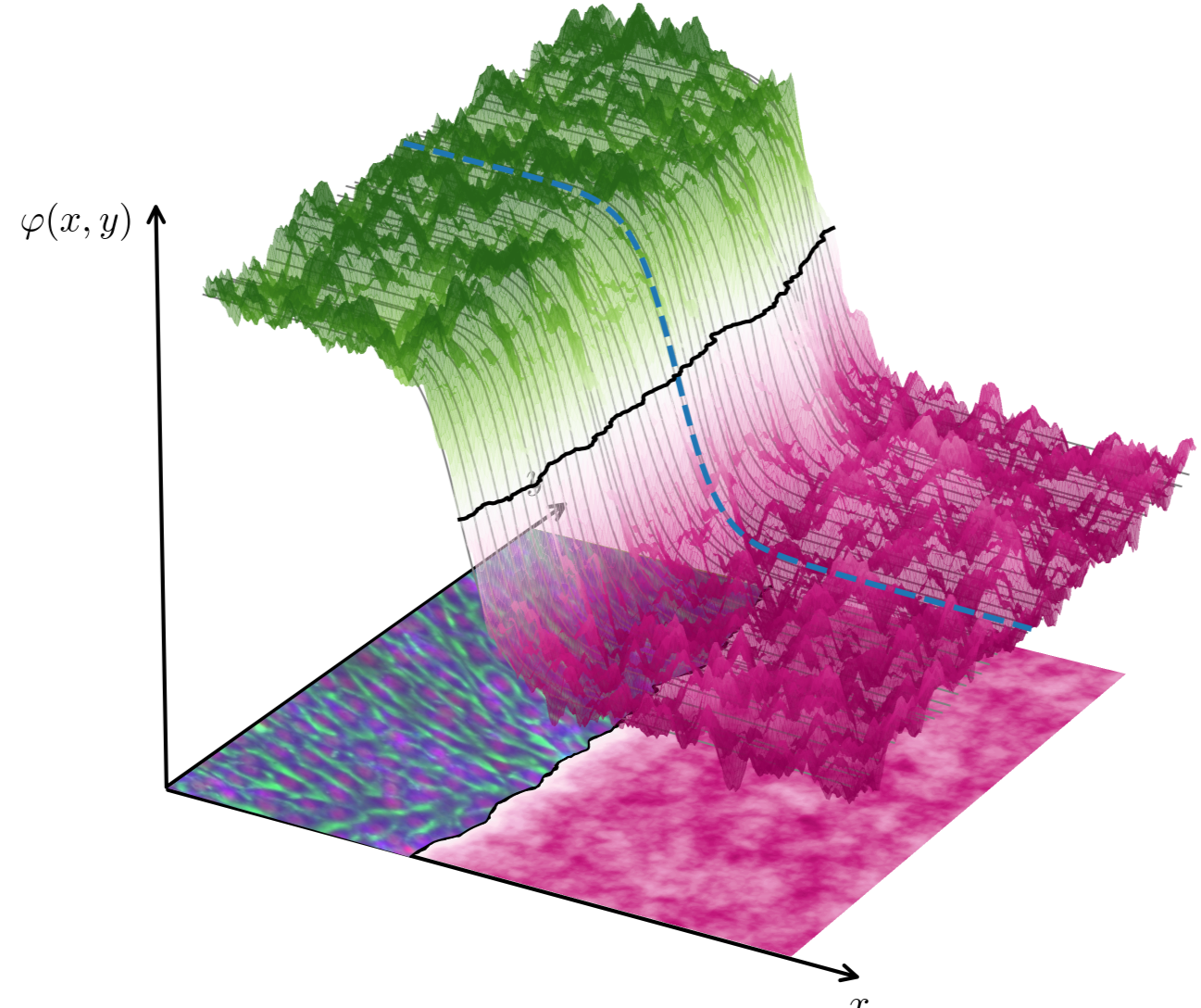 Complex Physics | Dr. Nirvana Caballero | Switzerland