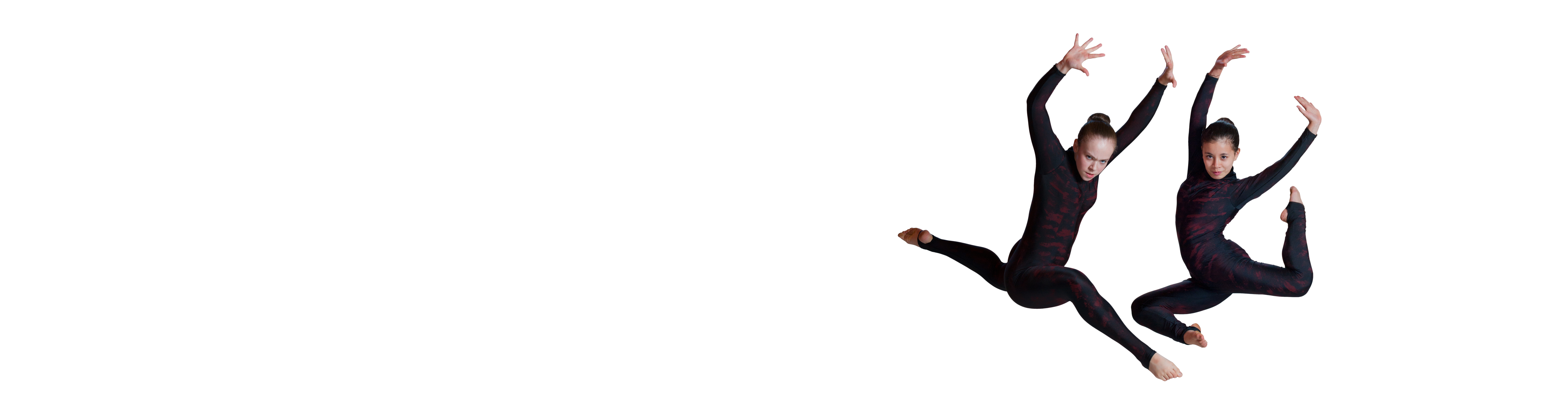 Gymnastics | Stalder Academy of Dance and the Performing Arts | Sale