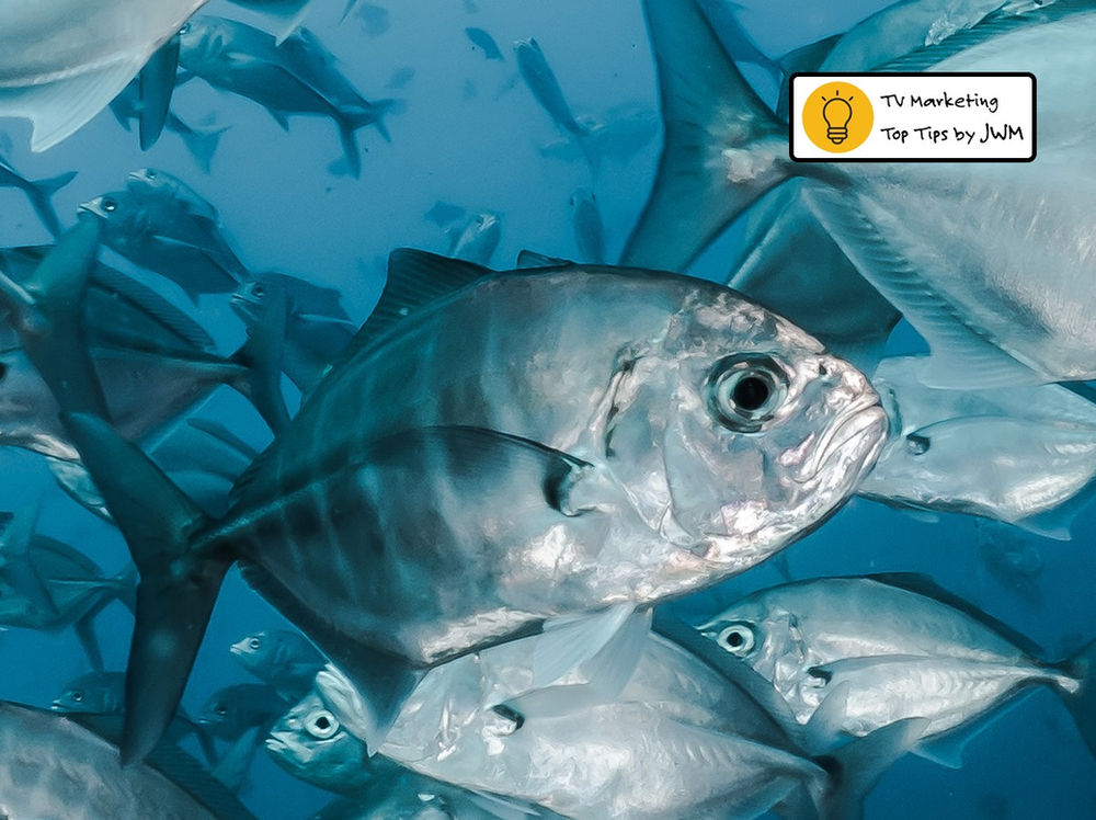 Fish where the fish are!