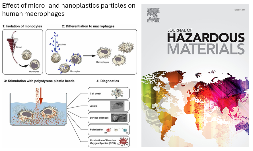 Ground-breaking Study Reveals How Micro- and Nanoplastics Affect Human ...