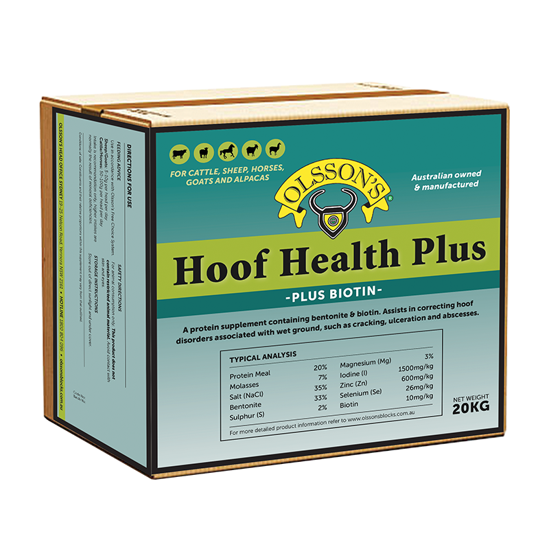 Hoof Health Plus