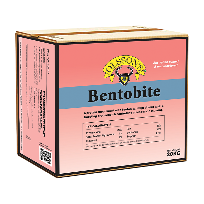 Bentobite Block