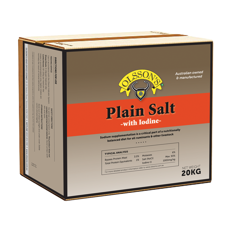 Plain Salt Iodised