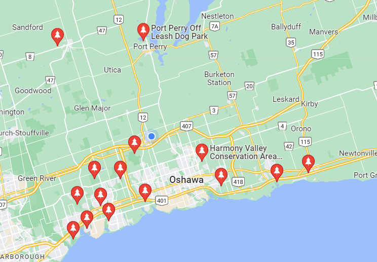 15 Amazing Off-Leash Dog Parks in Durham Region