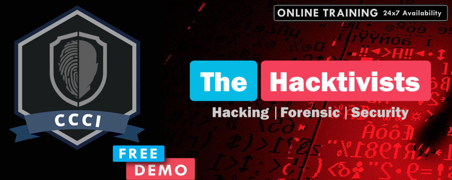 Cyber Crime Investigation | The Hacktivists