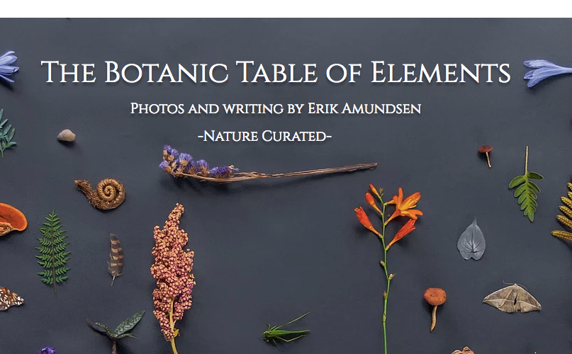 Nature curated | The Botanic Table of Elements | United States