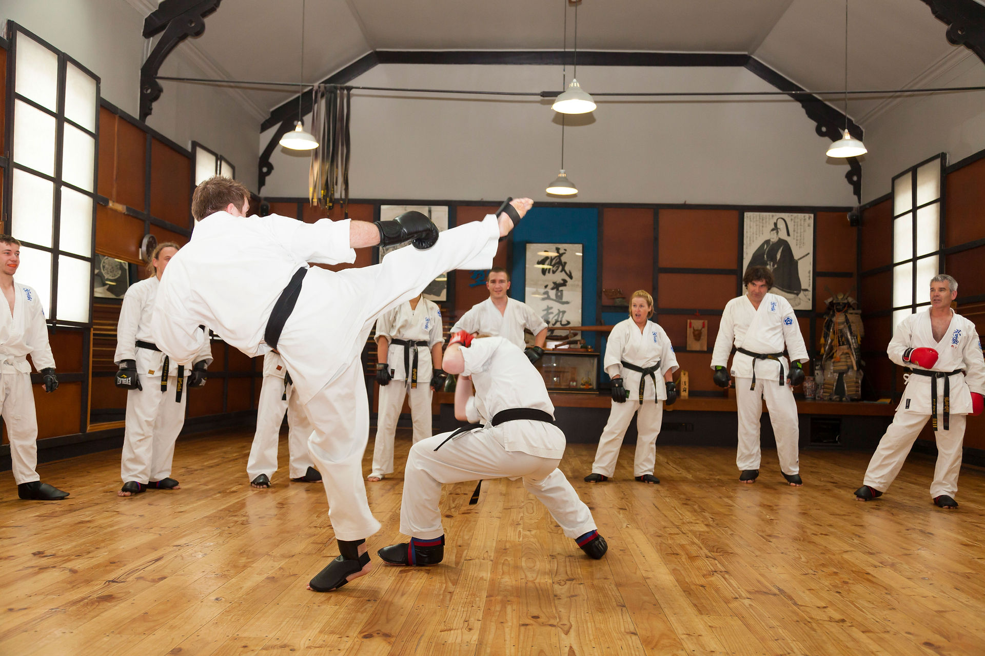 Members Area | Seidokarate