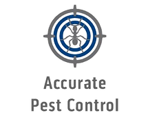Home | Accurate Pest Control