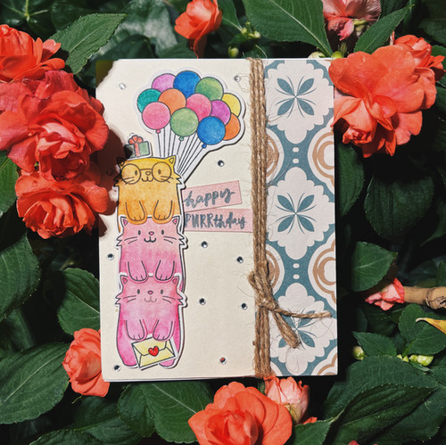 Kitty Stack | The Designing Pat