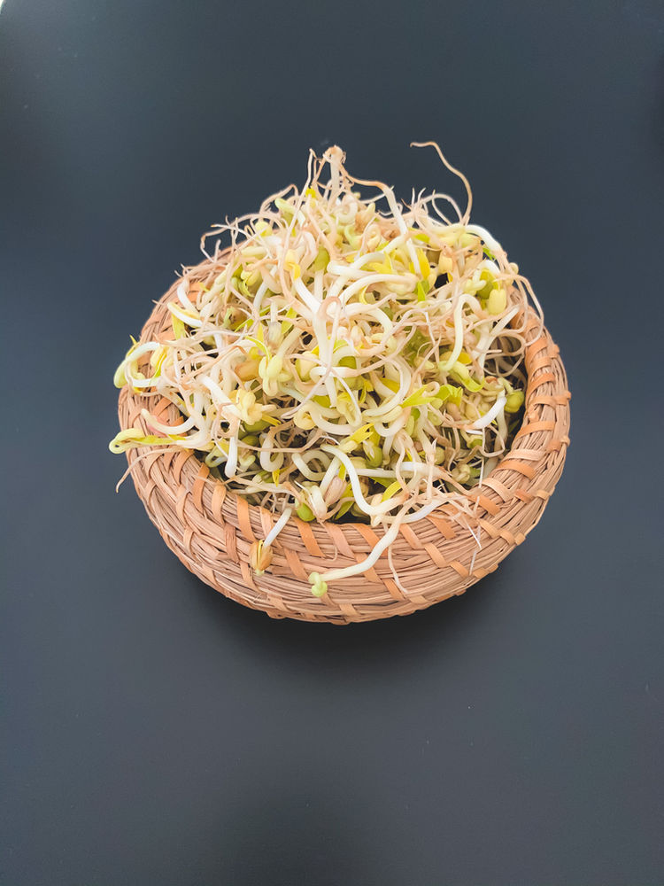 Guía rápida para hacer Germinados en frasco