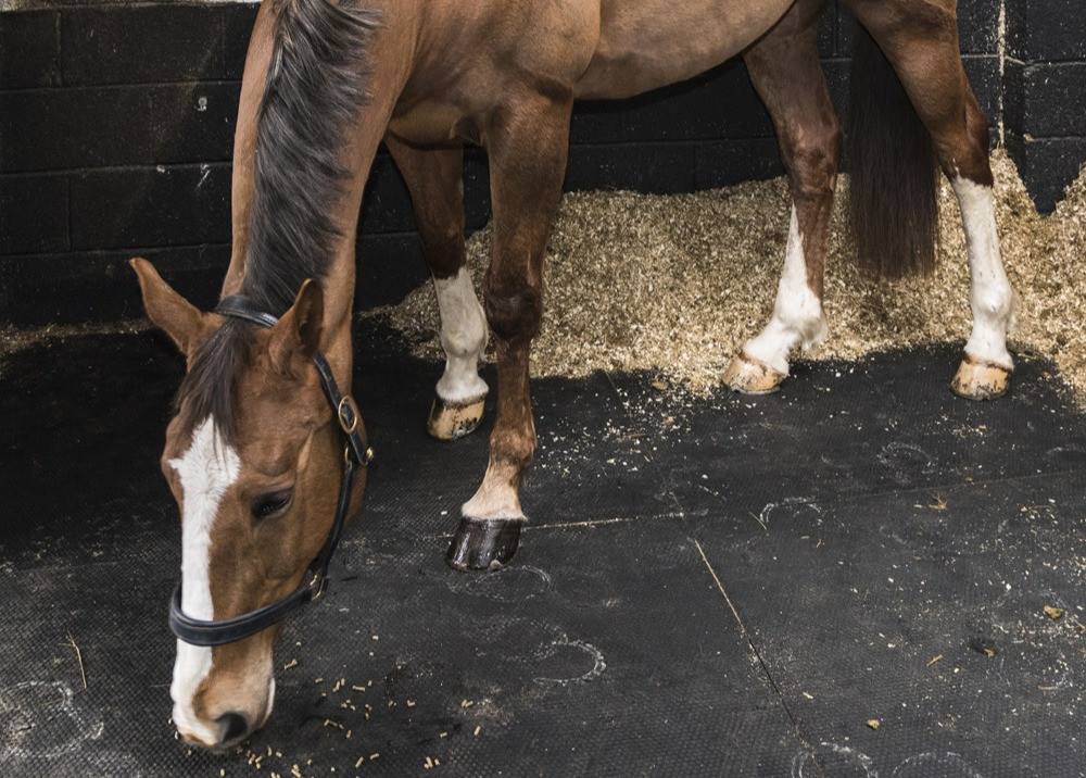 Stable Matting | Midlands Matting | Cannock - Staffordshire
