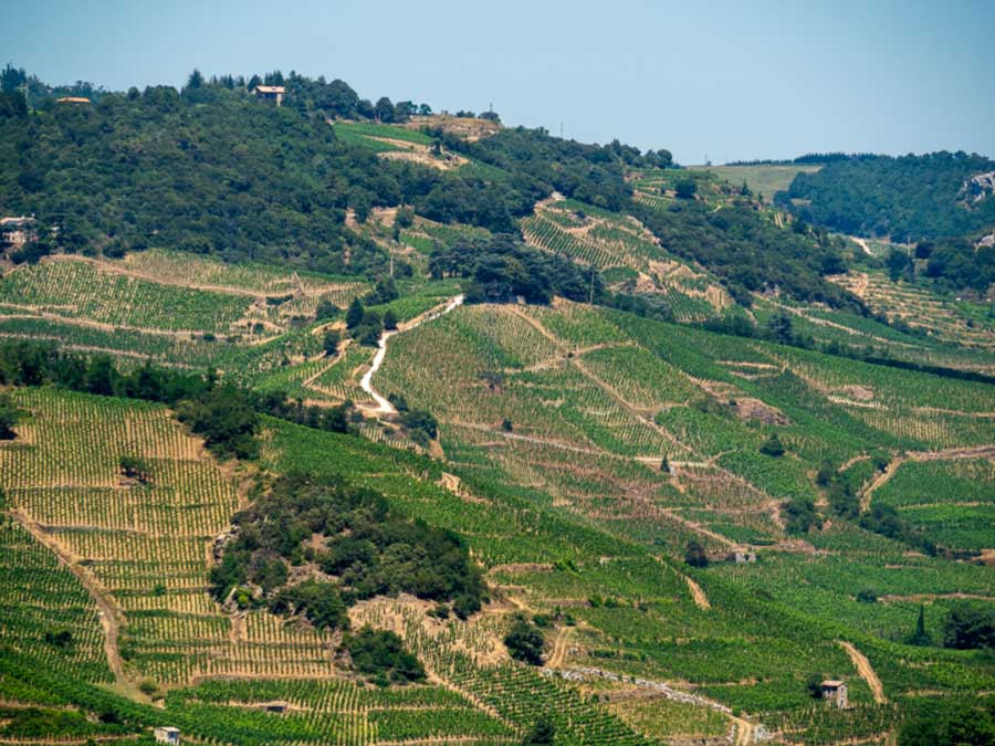 AOC Wine - What are French Classifications?