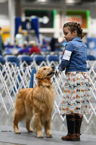 About | Houston Dog Shows