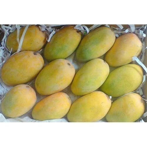 Kesar Mango Jumbo Size 230g+/Piece | ₹1499