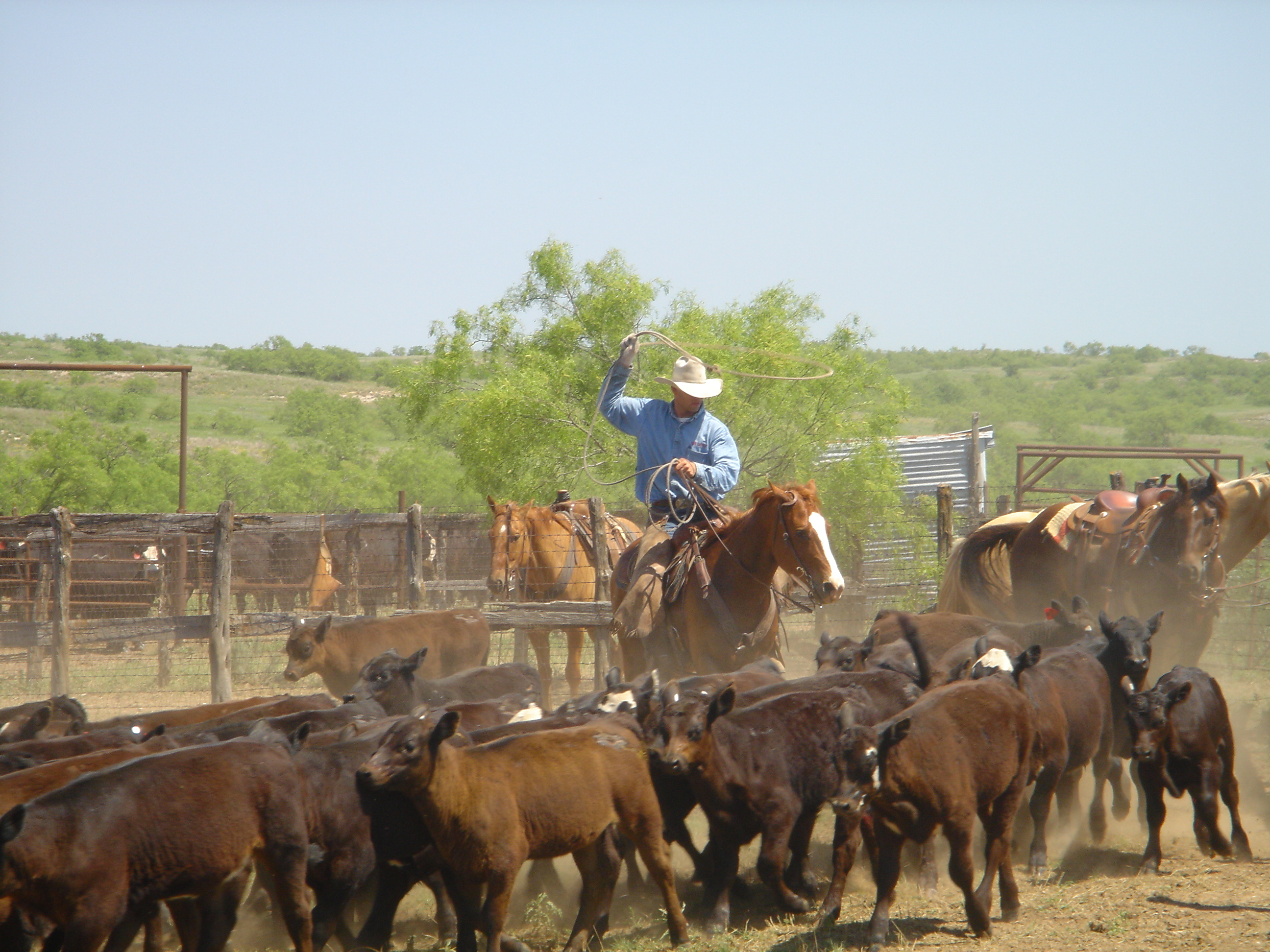 Historical Mill Iron Ranch | Texas