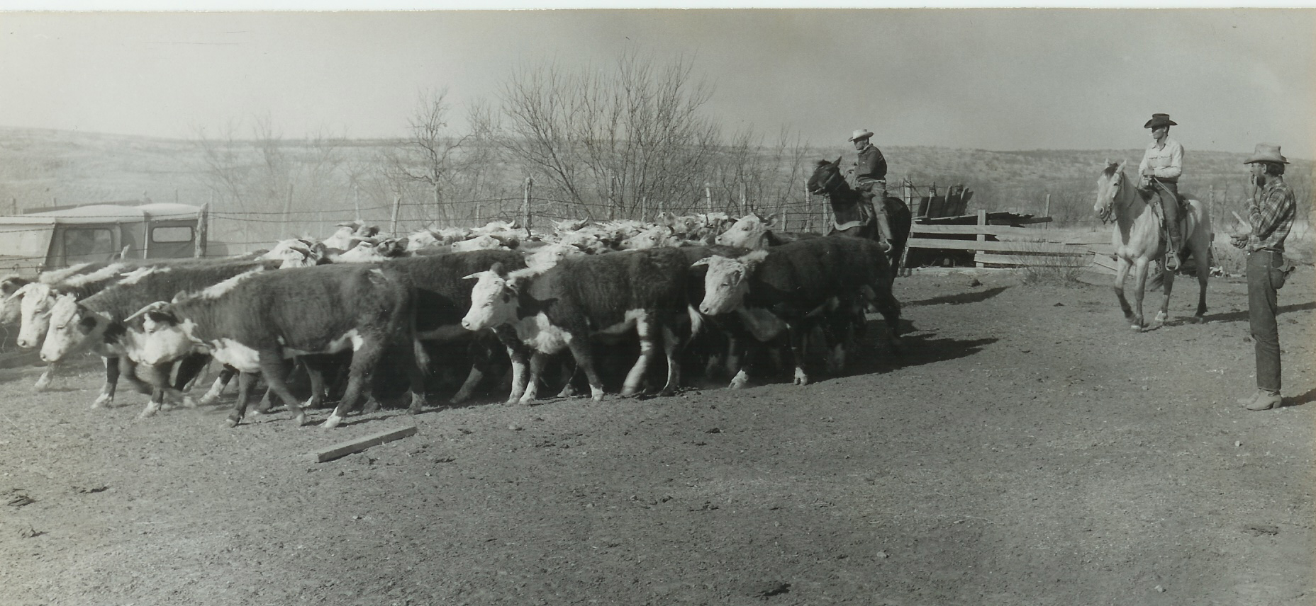 Historical Mill Iron Ranch | Texas
