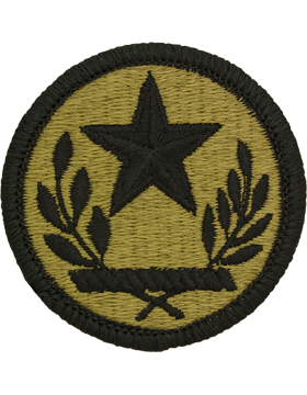 US Army Texas National Guard HQ Patch | Army Navy Warehouse