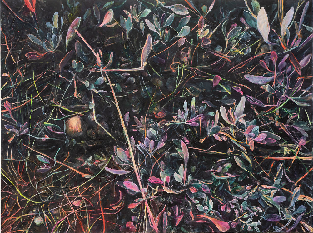 Judith Tucker Artist