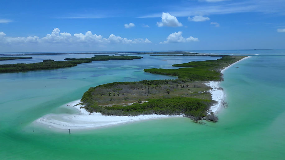 Boat Tours and Kayak Tours to Shell Key | Island Ferry of St Pete