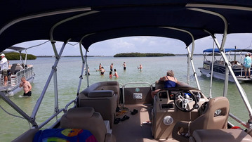 Dolphin Tours to Shell Key | Island Ferry of St Pete
