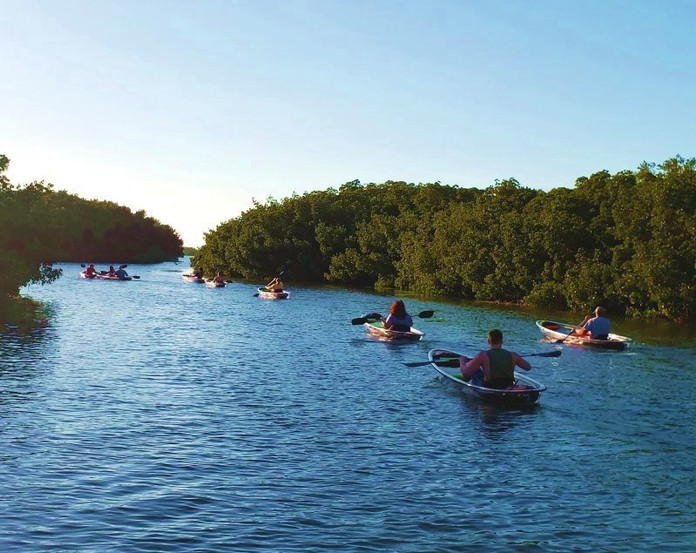 Clear Kayak Tours to Shell Key | Island Ferry of St Pete