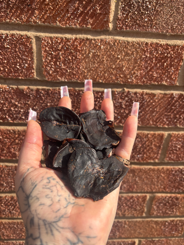 Kangaroo kidney 50g | Miss Shelby Ltd