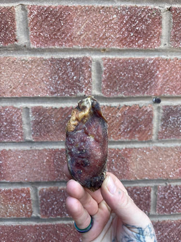 Beef testicle | Miss Shelby Ltd