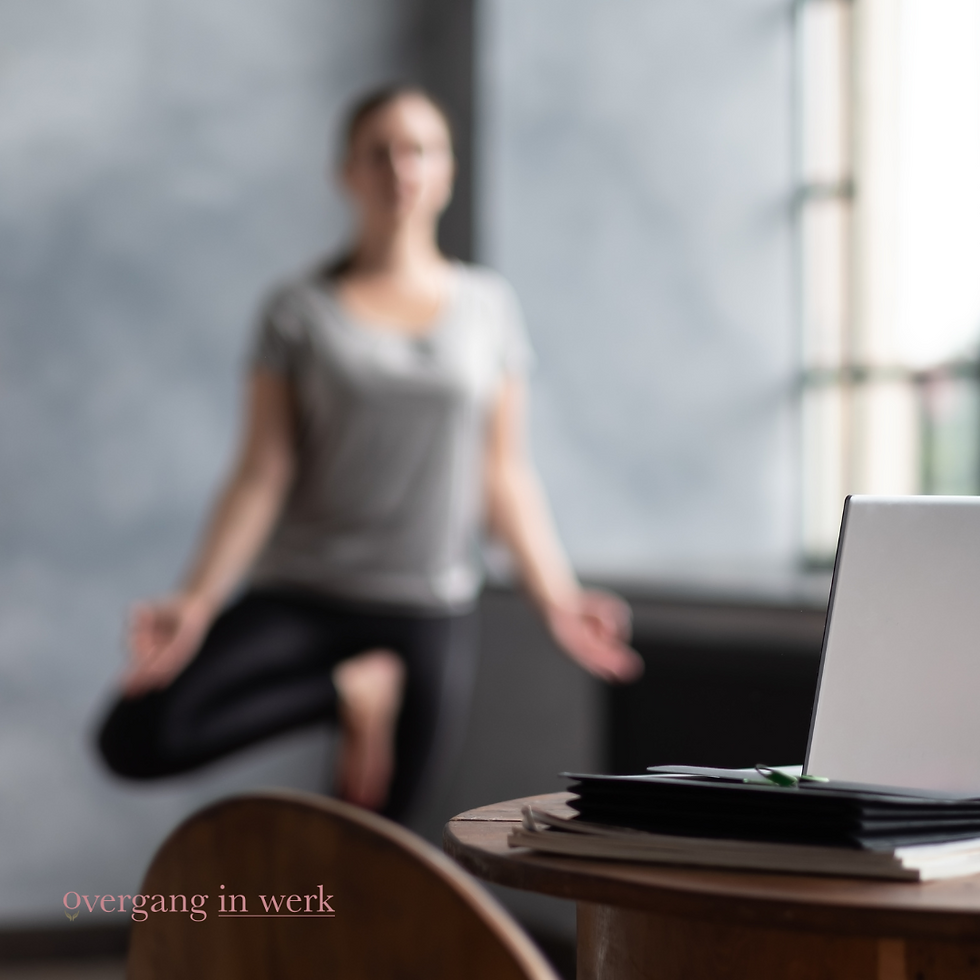 Een inspiratiebron; het JDR-model