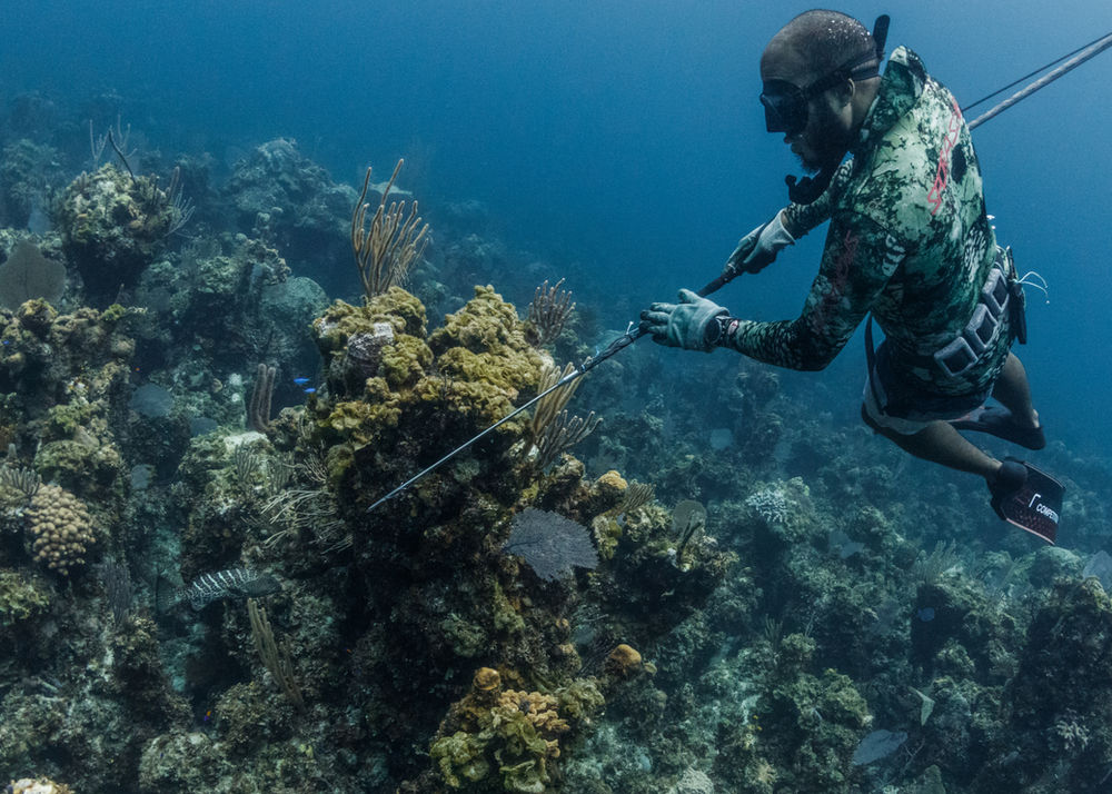 The Best Primitive Spearfishing Gear!