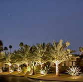 Lighting | DesertScape Design