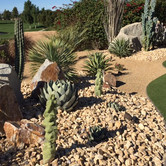 Modern and Contemporary Landscaping | Palm Springs