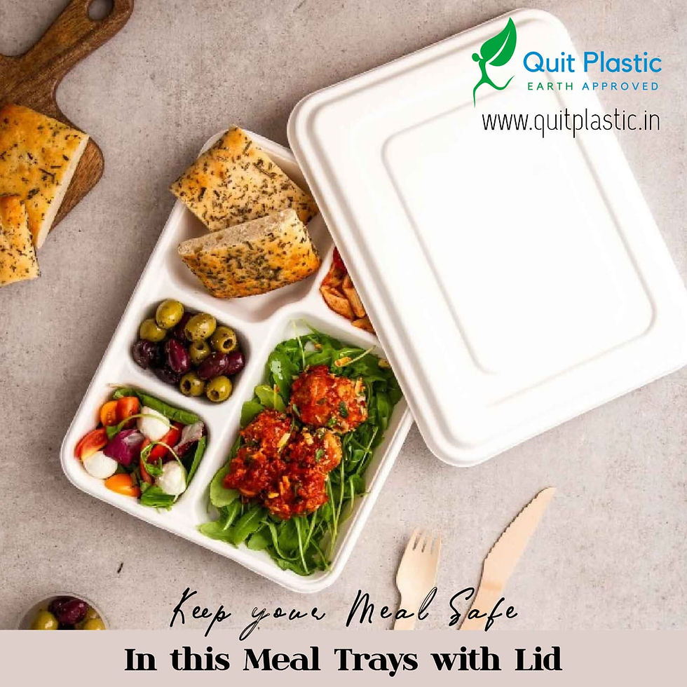 Safe Meal Trays with Lids: Revolutionizing Food Storage and Transport ...